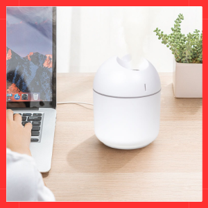 250ML Table Humidifier with Extra USB Port and Lightening Effect